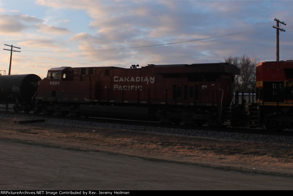 CP 8954 (1)